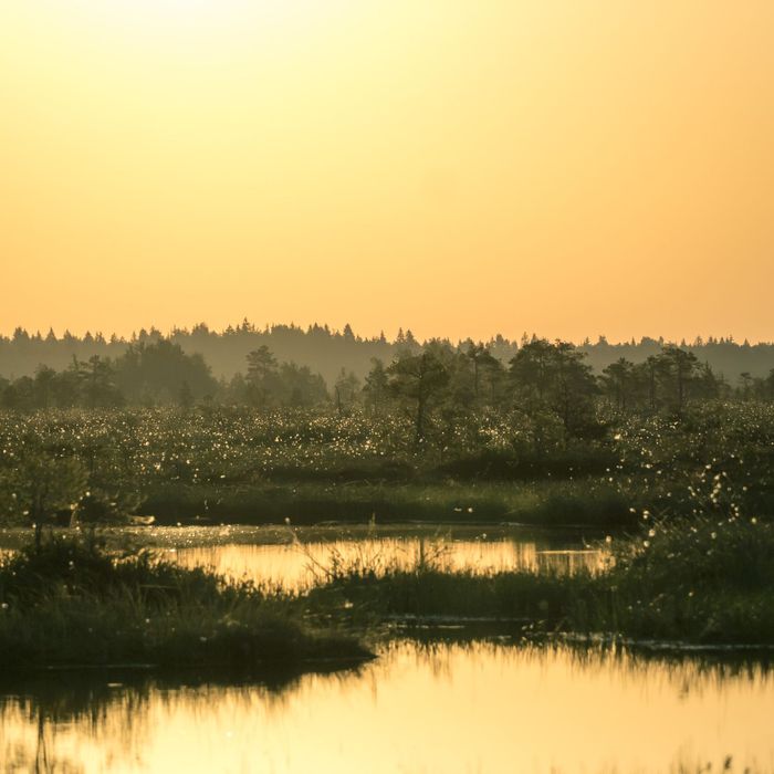 Water-based solutions for carbon storage, people and wilderness ...